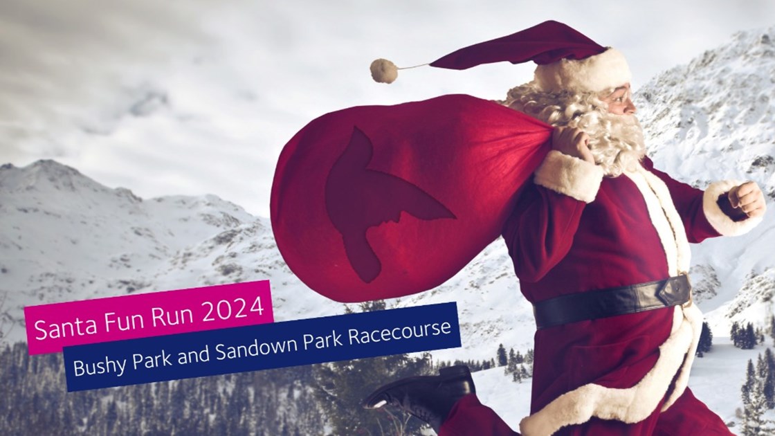 Santa Fun Run 2024 - JustGiving