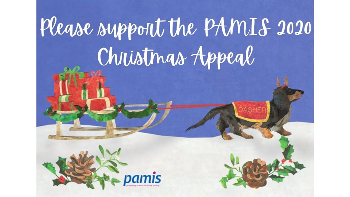 PAMIS Christmas 2020 Appeal - JustGiving