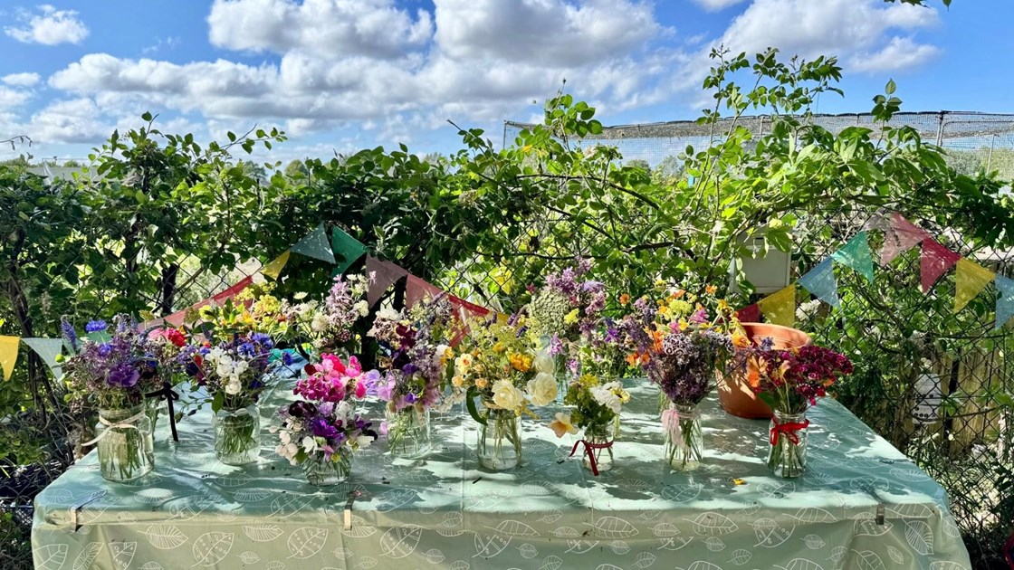 Patsy Smiles is fundraising for Be Free Young Carers