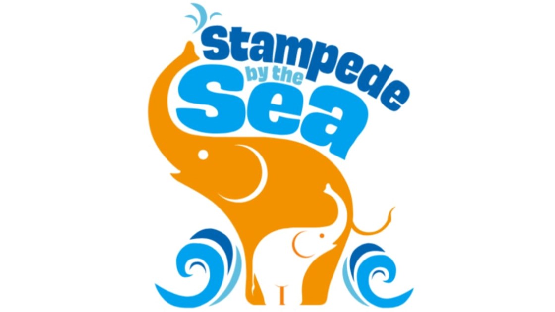 Puddletown First School is fundraising for Weldmar Hospicecare