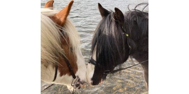 Louise Hogan is fundraising for The Lake District Calvert Trust