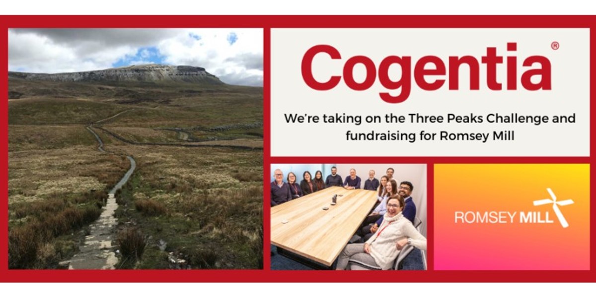 Cogentia Healthcare Consulting is fundraising for Romsey Mill