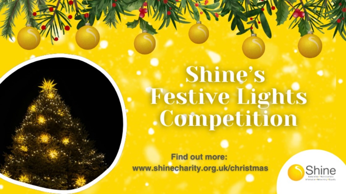Festive Lights Competition - JustGiving