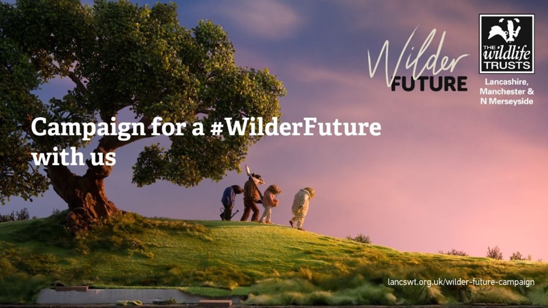 Wilder Future - JustGiving