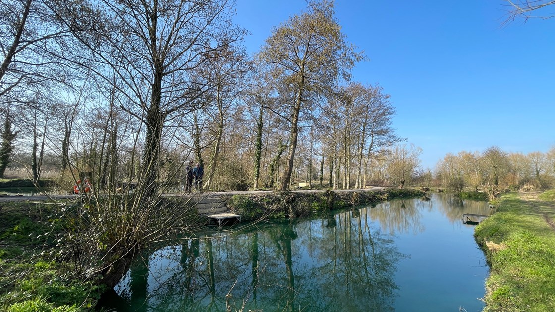 Bullock Farm is fundraising for Dorothy House