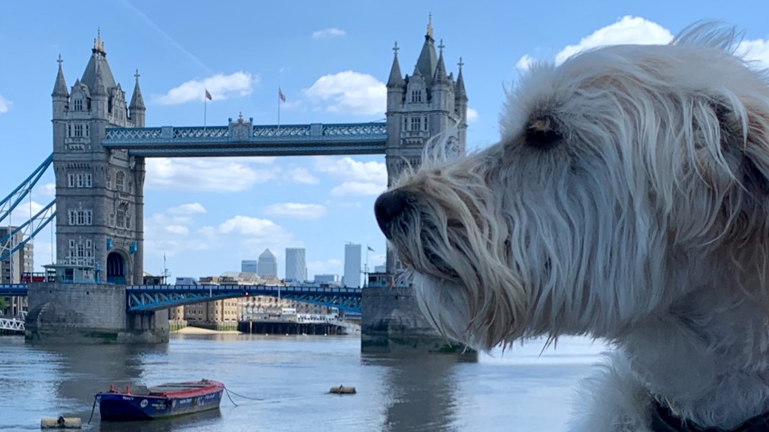 Simon Friend is fundraising for Royal Brompton & Harefield Hospitals ...