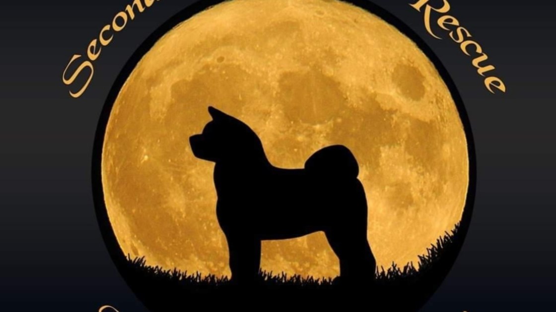 Mark Catterall is fundraising for Second Chance Akita Rescue