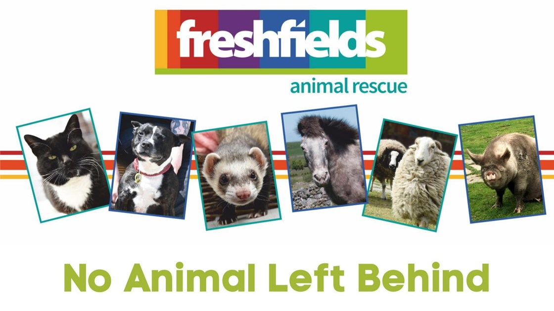 Dean Brothers is fundraising for Freshfields Animal Rescue Centre