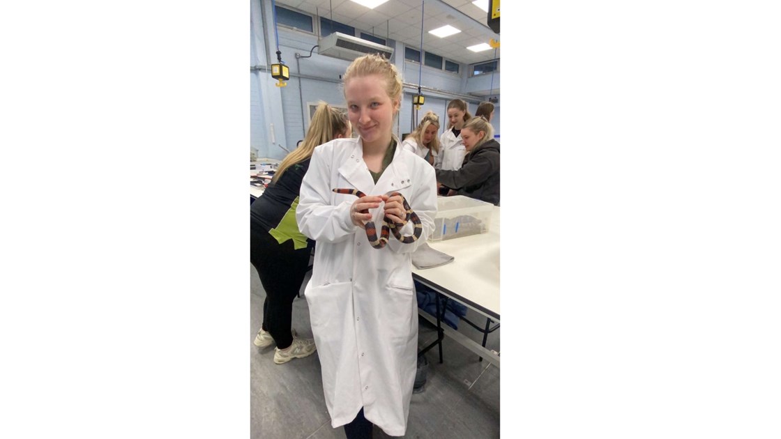 Maddie Hutchison is fundraising for Travelteer Impact