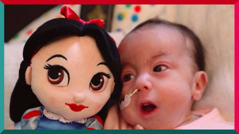 Amelia Klein's Instagram, Twitter & Facebook on IDCrawl