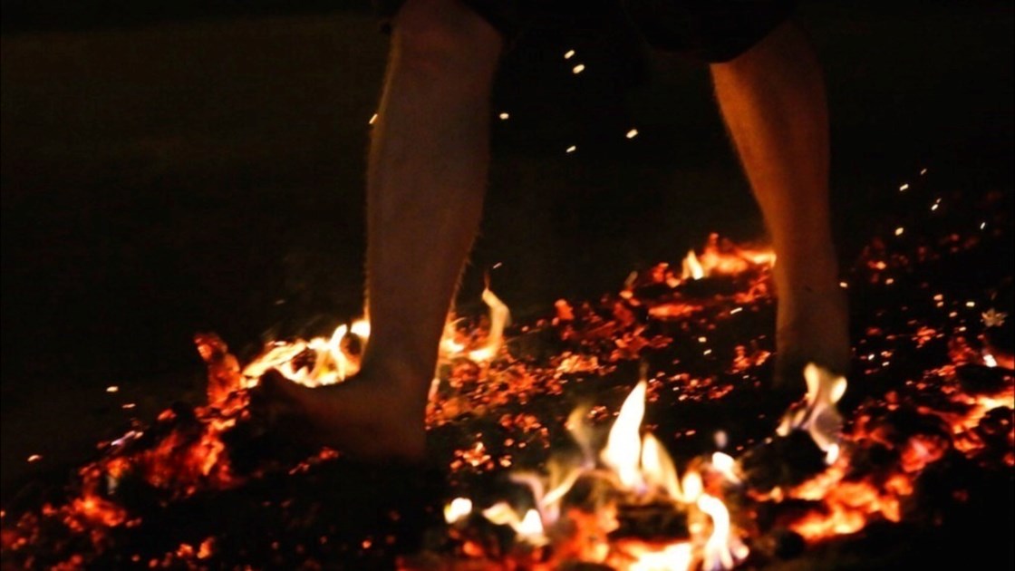 Team DP World Firewalk Challenge is fundraising for Marwell Wildlife
