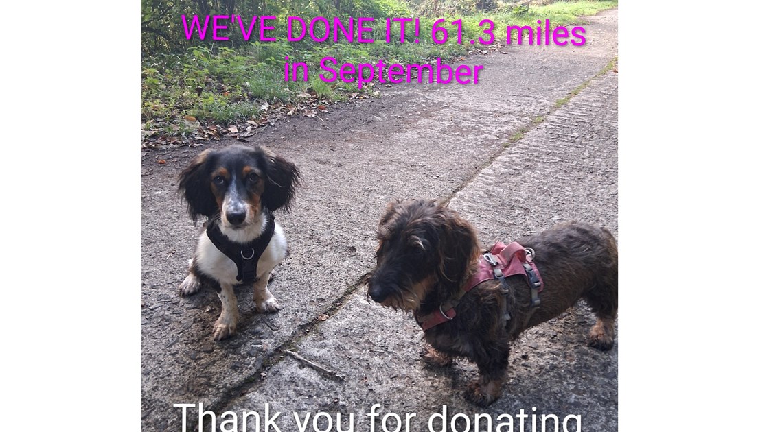 Nicci Hastings is fundraising for Margaret Green Animal Rescue