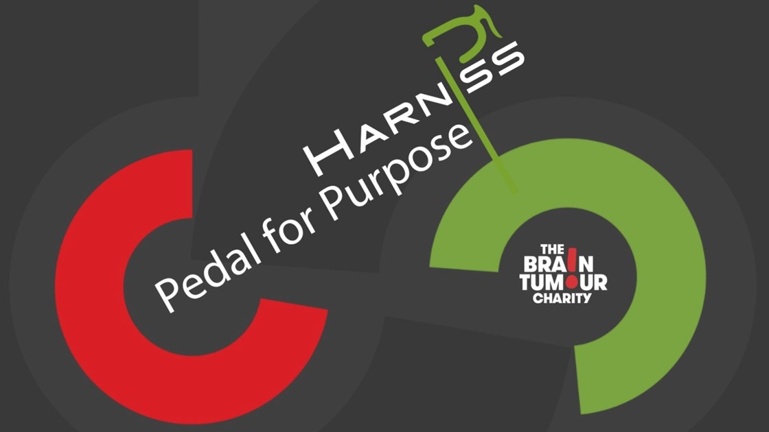 Harniss Building Services Solutions is fundraising for The Brain Tumour ...