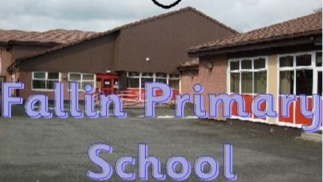 Fallin Primary School - Sponsored Dance-A-Thon - JustGiving