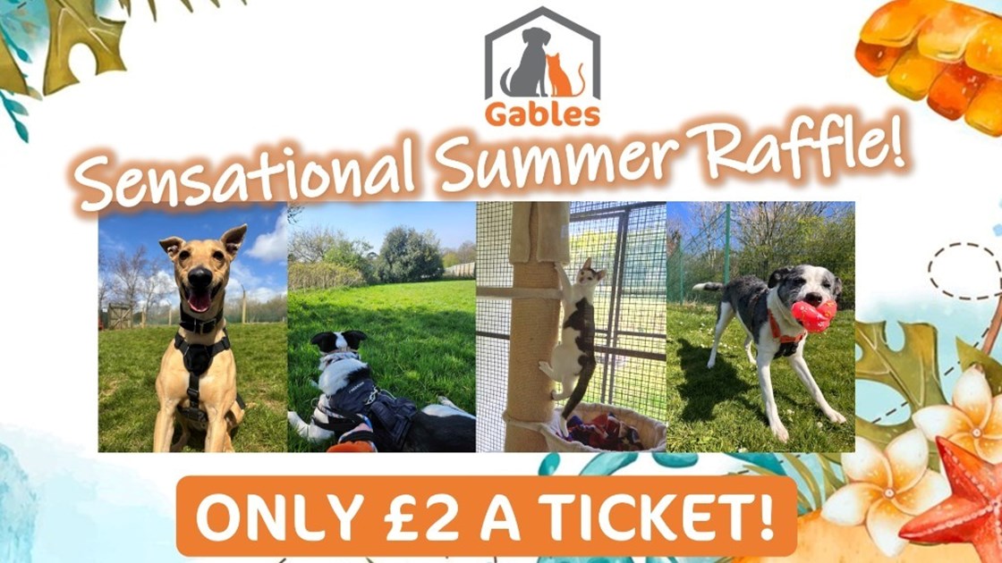 Sensational Summer Raffle! - JustGiving