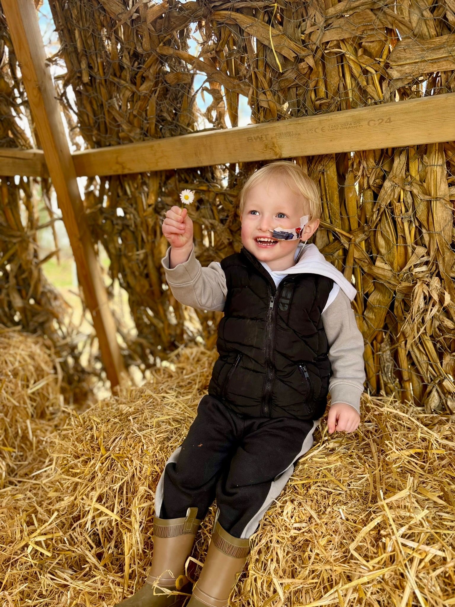 Jacqueline Clark is fundraising for The Brompton Fountain