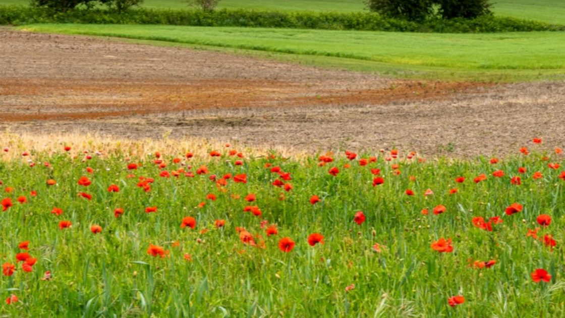 Councillor Andrew Hagues is fundraising for Lincolnshire Rural Support ...