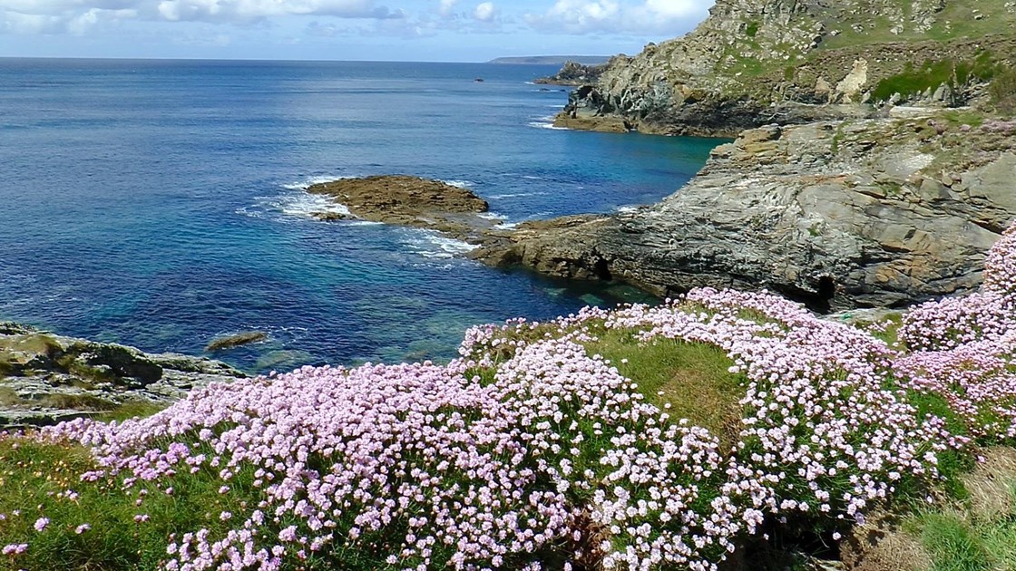 Susan Goldsworthy is fundraising for Cornwall Wildlife Trust
