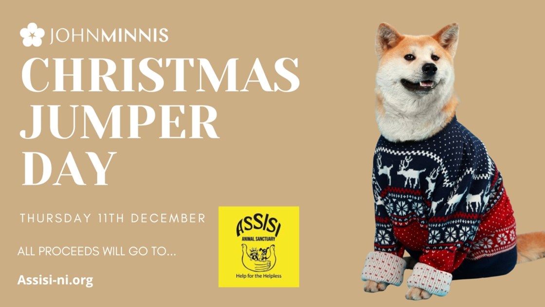 Amy Kimber is fundraising for Assisi Animal Sanctuary