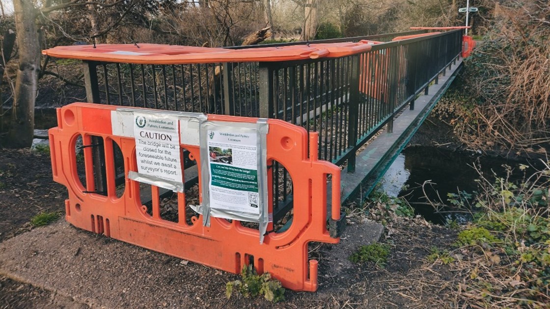 Help bring back the bridge on Putney Lower Common - JustGiving