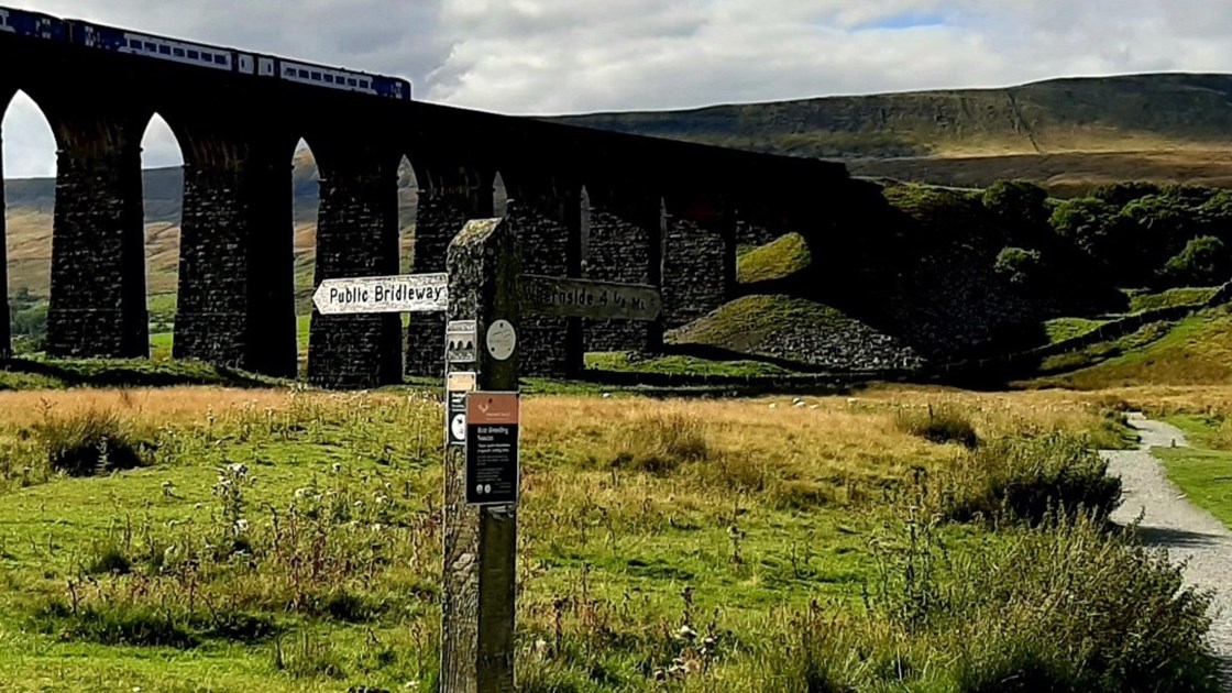 Kate Abbott (Pilates) is fundraising for Tiny Tickers