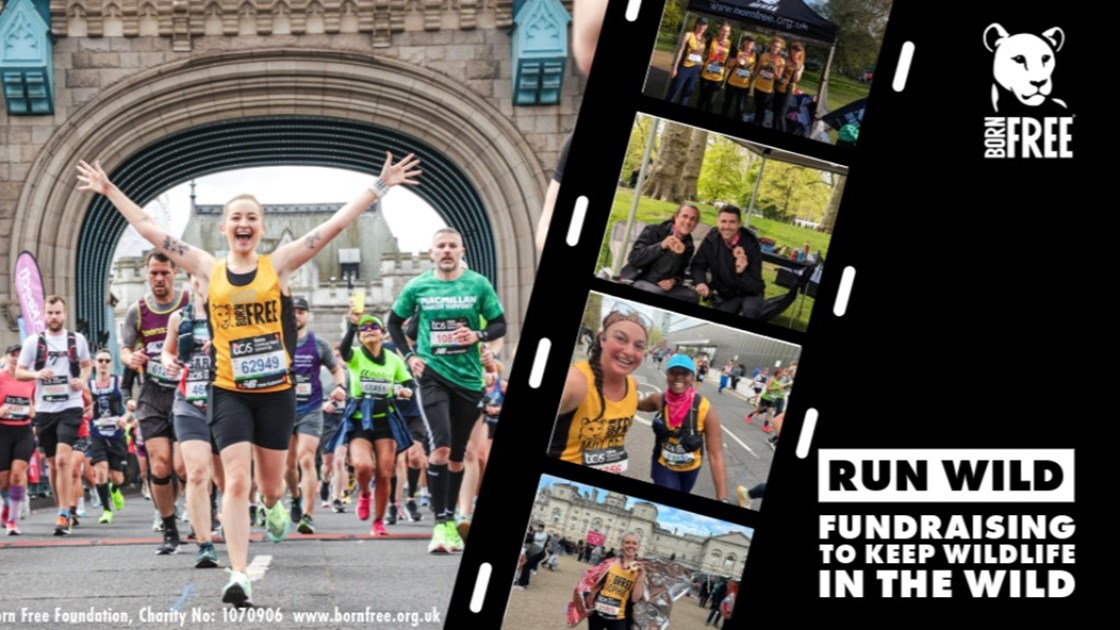 Born Free Run Wild - JustGiving