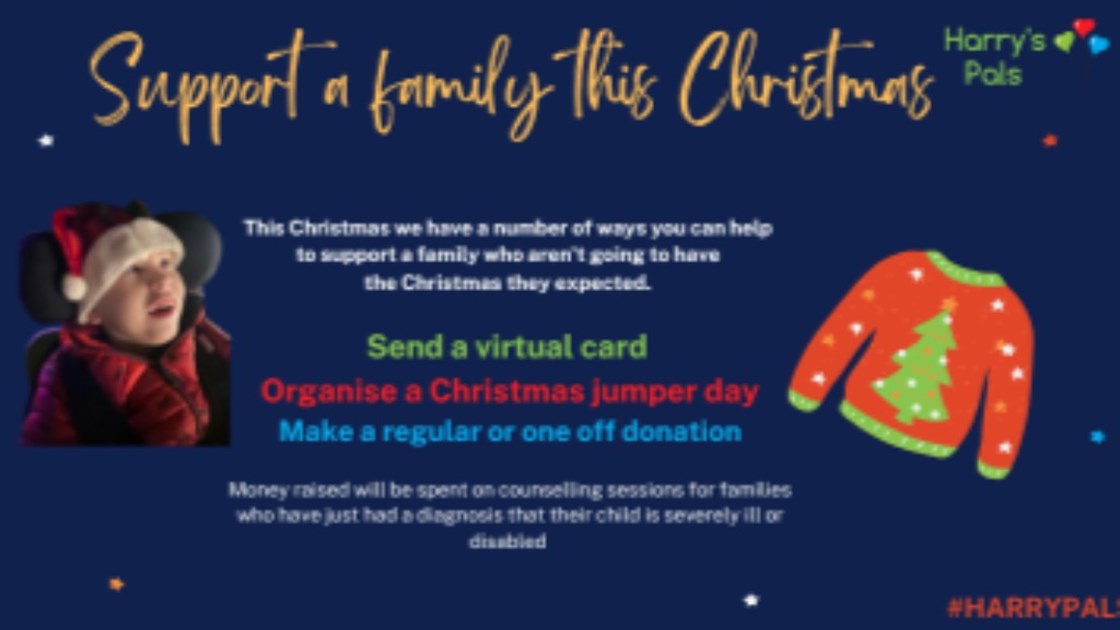 Harry's Pals Christmas Heroes - JustGiving