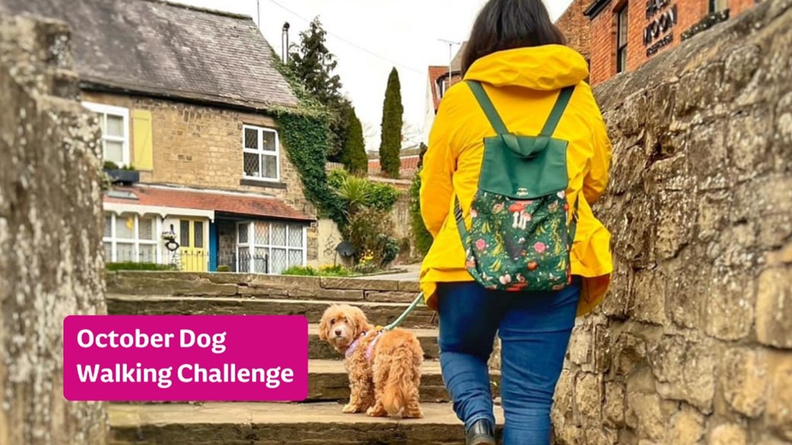 October Dog Walking Challenge - JustGiving