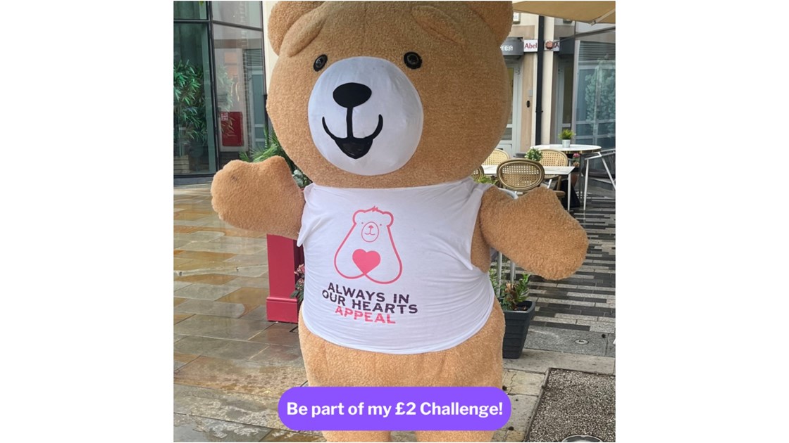 Sam Bear is fundraising for Woking Hospice