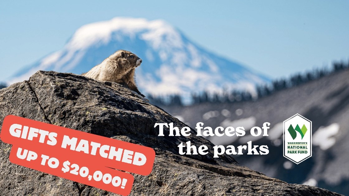 GivingTuesday - For The Parks! - with Washington's National Park Fund ...