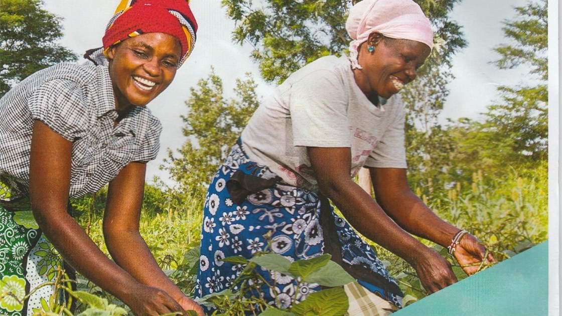 Five Alive Harvest Appeal - JustGiving