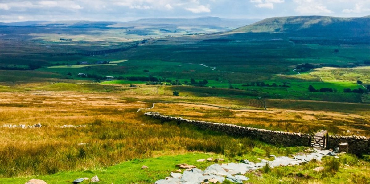 Ben Milner is fundraising for Emily Harris Foundation