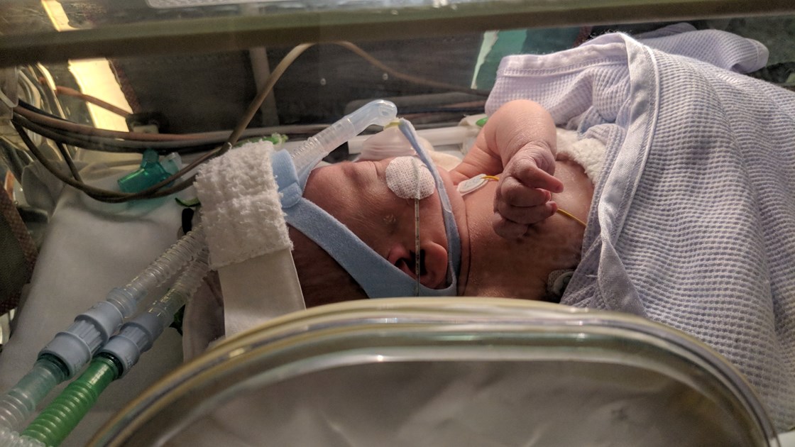 Ross Ryles is fundraising for Tiny Lives