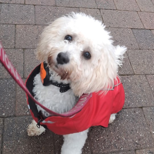 Kate and dotty move for mind is taking part in Move for Mind