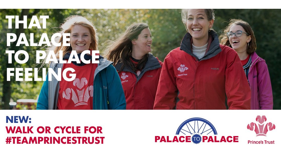 Palace to Palace Walk - JustGiving