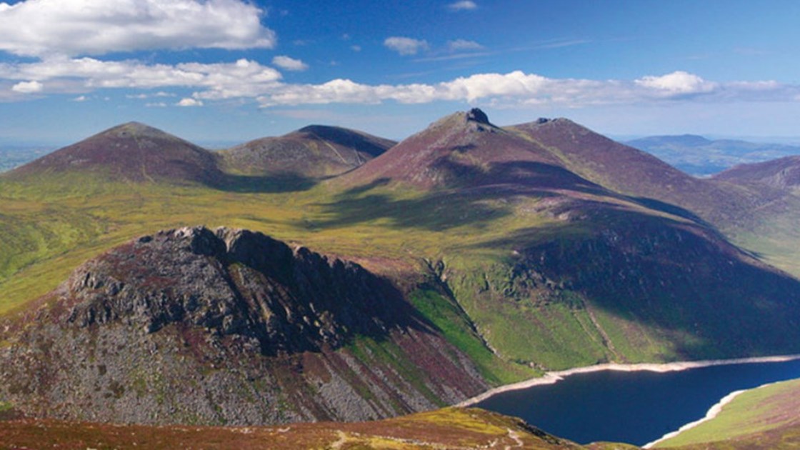 Brian Gourley is fundraising for Cancer Focus Northern Ireland