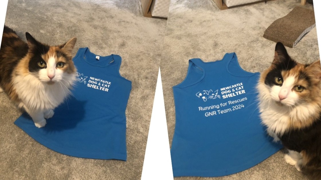 Denise Frater is fundraising for Newcastle Dog & Cat Shelter