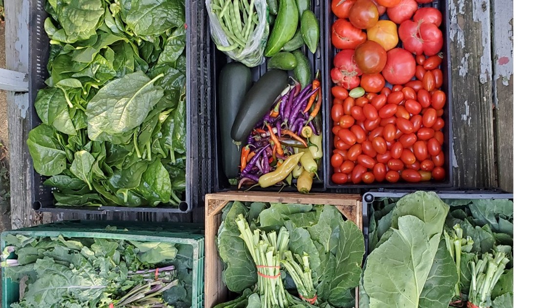 Community Food Connection 2025 - JustGiving