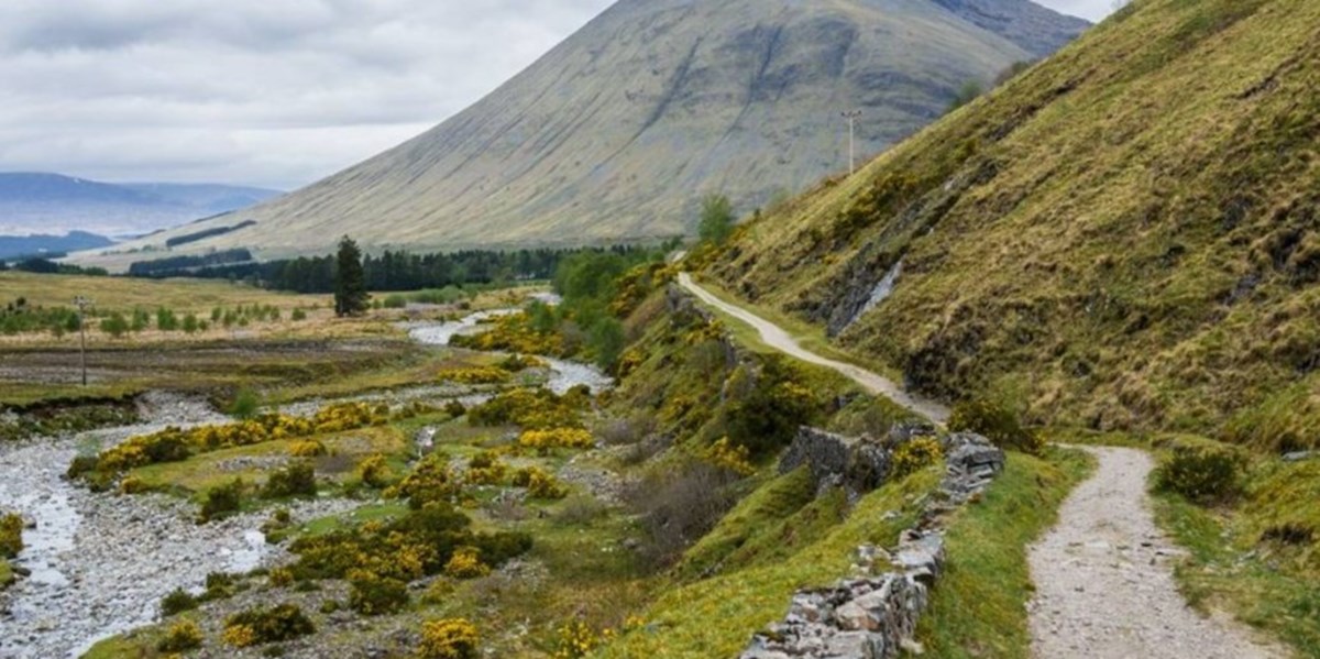 Tim Layzell is fundraising for Macmillan Cancer Support