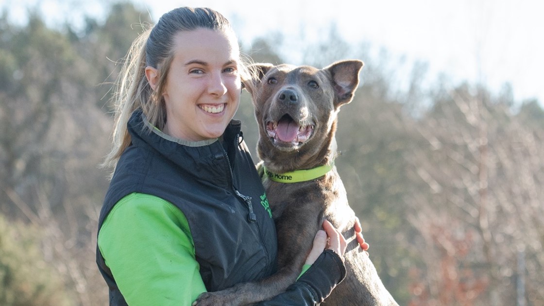 Birmingham Business Park Supports Birmingham Dogs Home - JustGiving