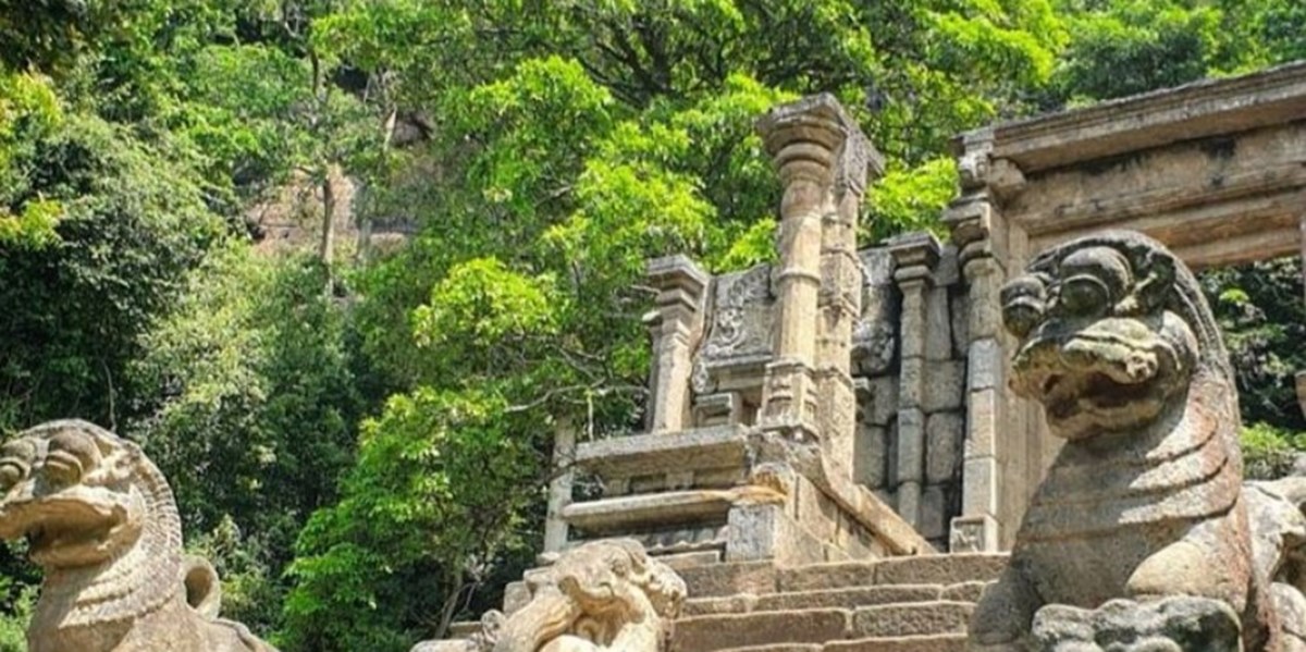 Ana Luis is fundraising for Travelteer Impact