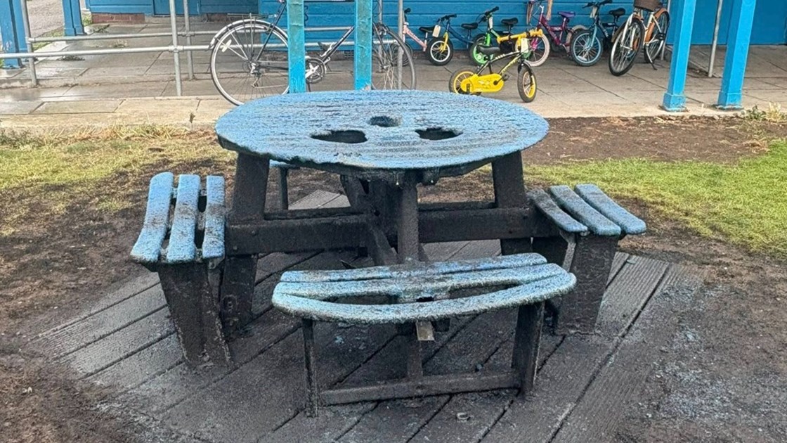 Together We Rebuild: Help raise money for Live! following the picnic ...