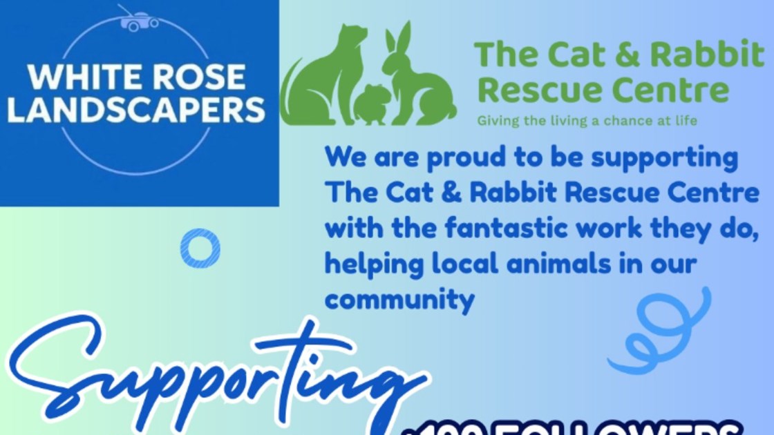 Russell Howarth is fundraising for Cat & Rabbit Rescue Centre