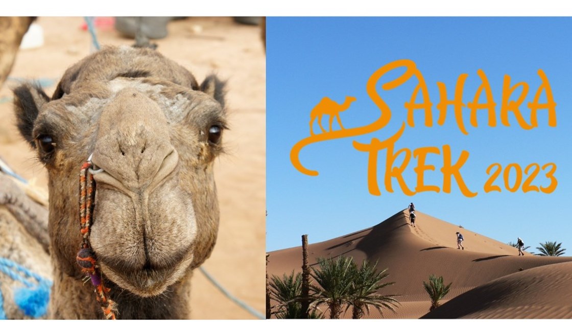 Sahara Trek 2023 - JustGiving