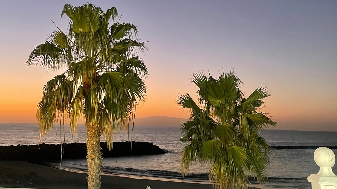 Leyla Overton is fundraising for Travelteer Impact