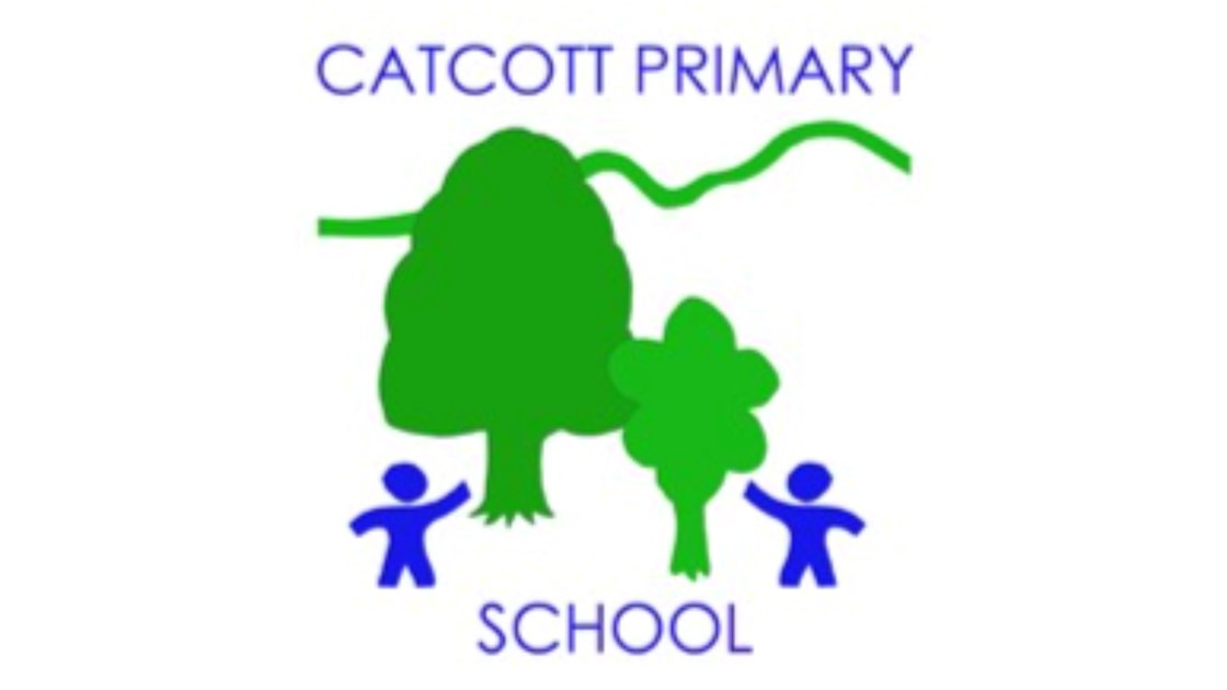 Catcott Primary is fundraising for Comic Relief