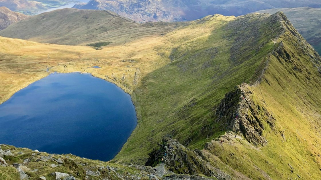 Saferoad VRS UK Ltd is fundraising for British Heart Foundation