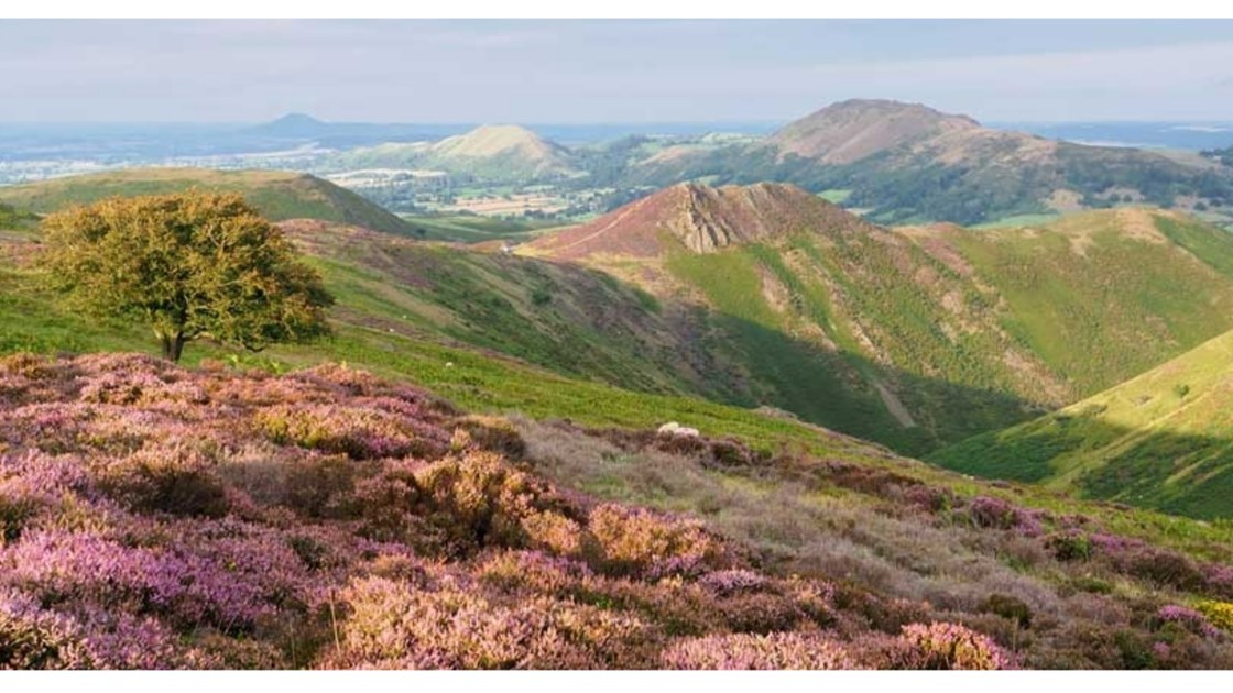 alex thomason is fundraising for University Hospitals Coventry and ...