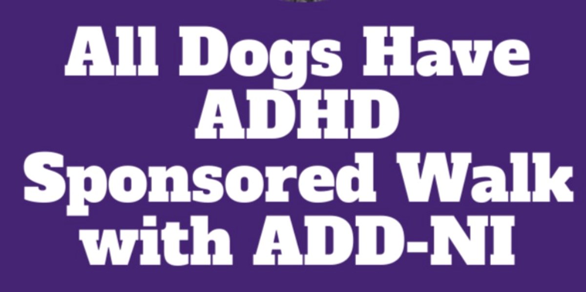 Sarah Salters is fundraising for ADD-NI Children's Charity