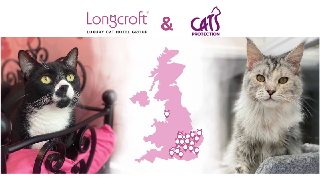 Longcroft Luxury Cat Hotels is fundraising for Cats Protection